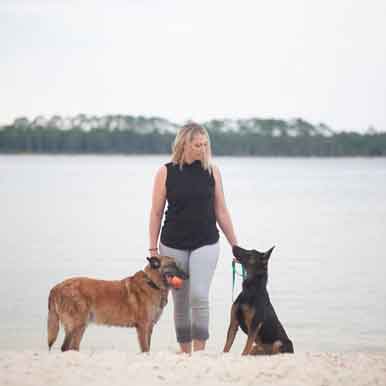 About Us - Professional Dog Training Fort Walton Beach